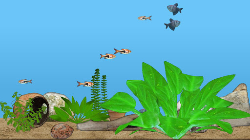 Download Aquarium Fish op PC met MEmu